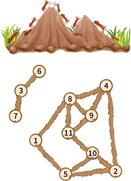 Berikut adalah bentuk keseluruhan sarang semut.